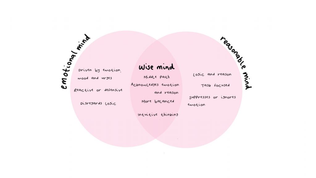 dbt skills | core mindfulness | wise mind